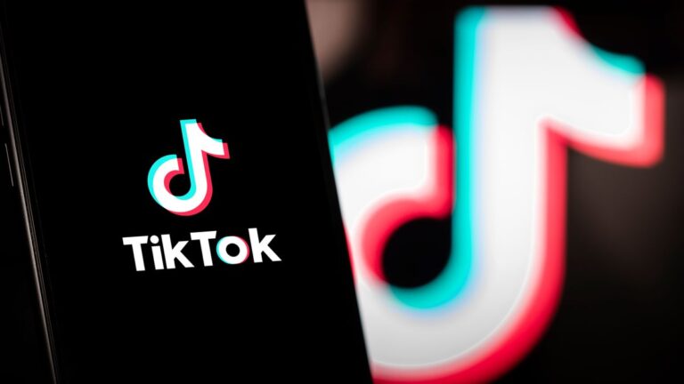 Why is Tik Tok Being Banned in US | BSN